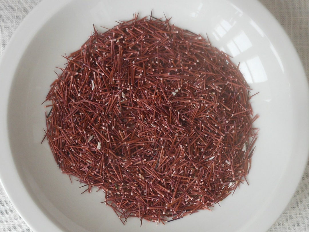 200 Gr Brown-red Urchin Spines . - Etsy