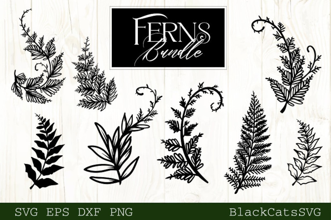 Ferns Bundle Svg, Ferns Svg, Botanical Forest Illustrations Svg, Swirly ...