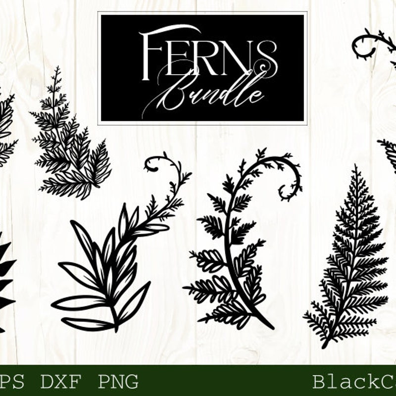 Fern Svg - Etsy