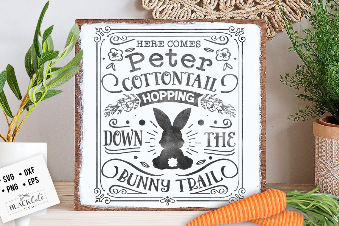 Here Comes Peter Cottontail Sign Svg Cottontail SVG Easter | Etsy Canada