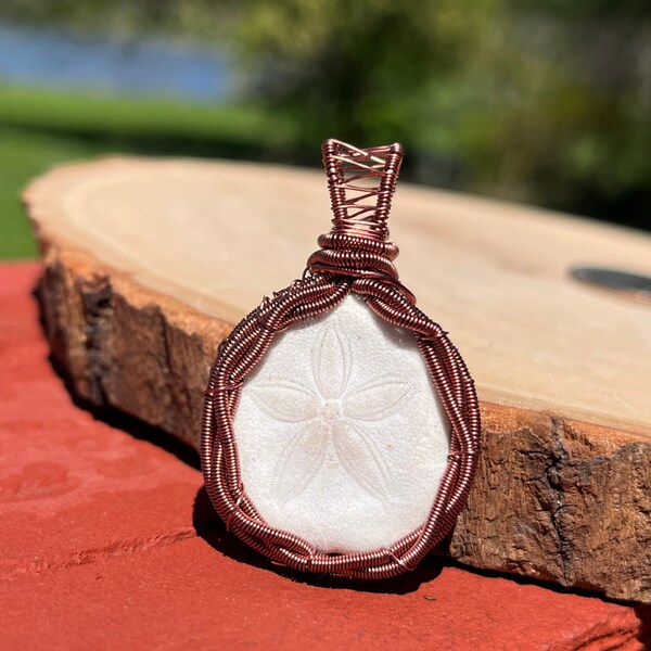 Sea Shell Wire Wrap - Etsy