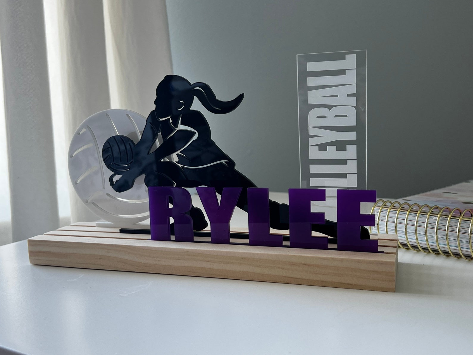 Volleyball Grandstand, Libero, Personalized Volleyball Gift, Choose ...