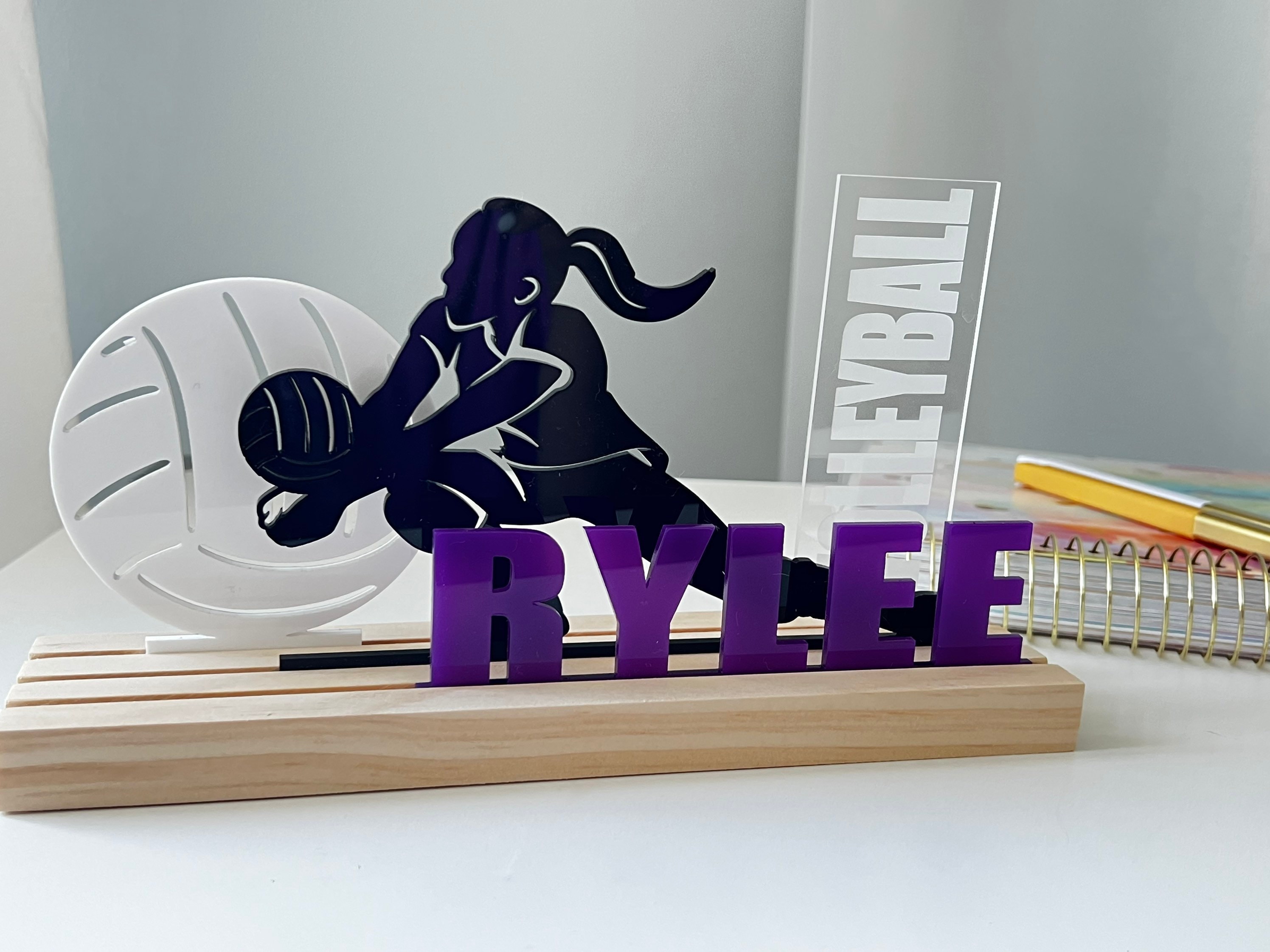 Volleyball Grandstand, Libero, Personalized Volleyball Gift, Choose ...