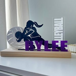 Volleyball Grandstand, Libero, Personalized Volleyball Gift, Choose ...