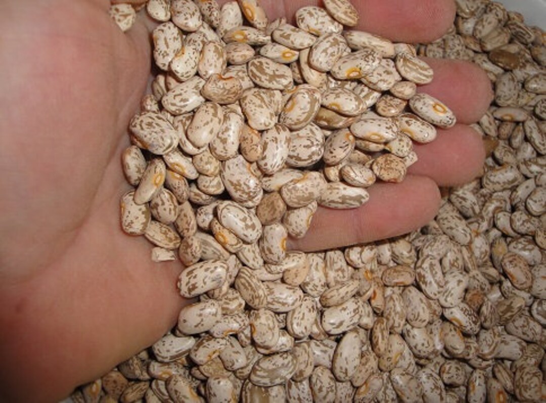Survival Pinto Beans 15LBS Food Grade Triple Cleaned New Crop Emergency ...