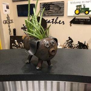 Coleman Propane Bottle Pig Planter Upcycled Rustic Small Pig Planter ...