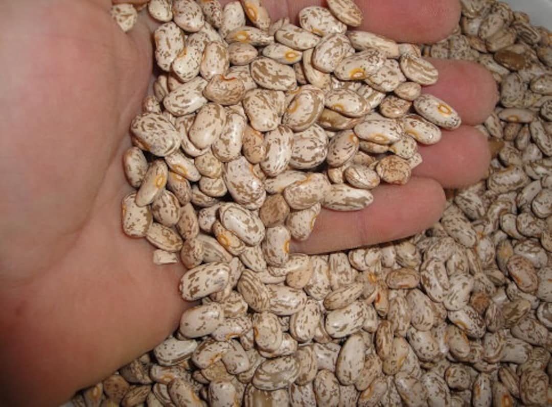 Pinto Beans 5LBS Food Grade Triple Cleaned NEW CROP Emergency Food ...