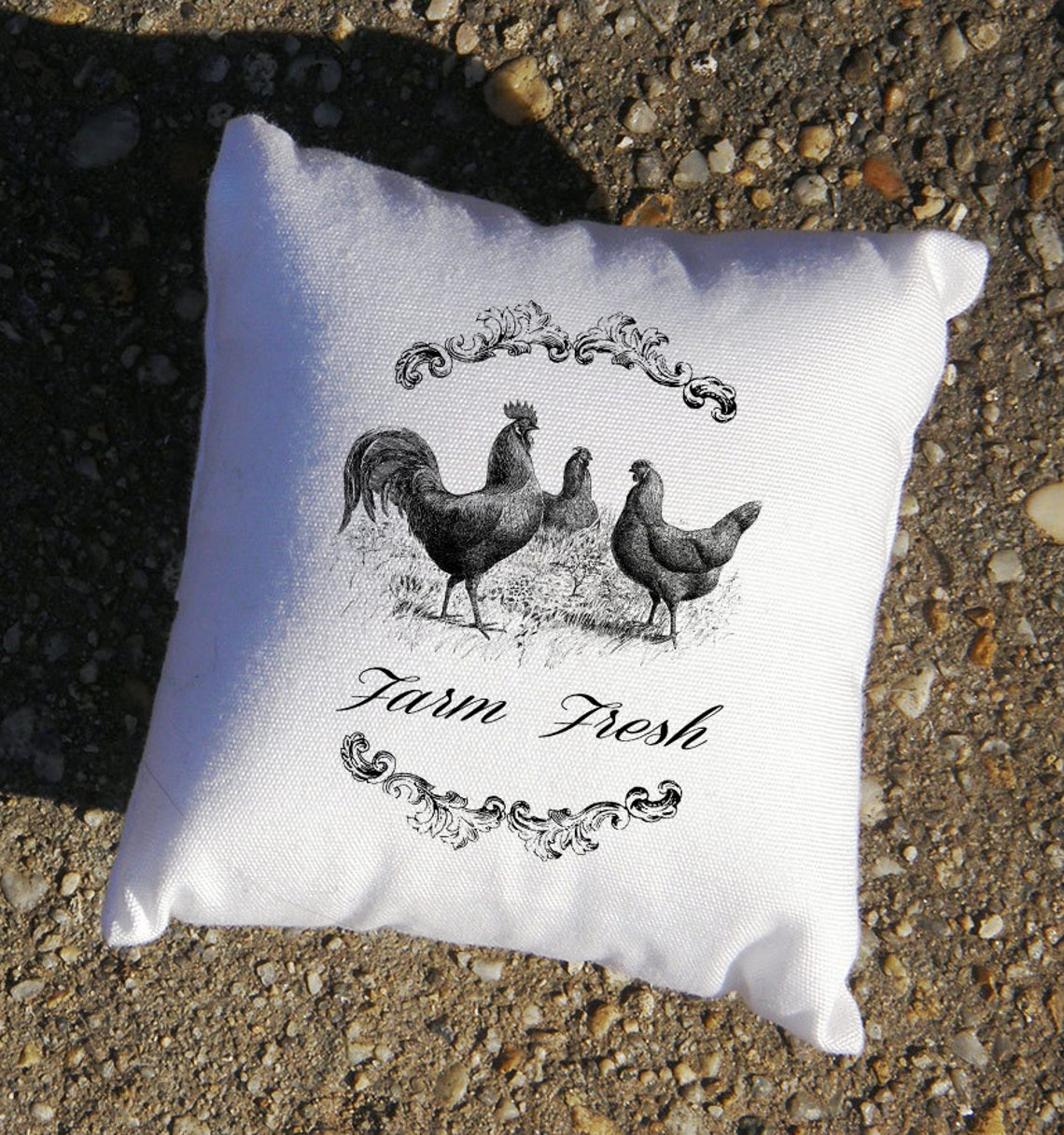 Farm Fresh Three Chickens Vintage Transfer Image Chicken - Etsy