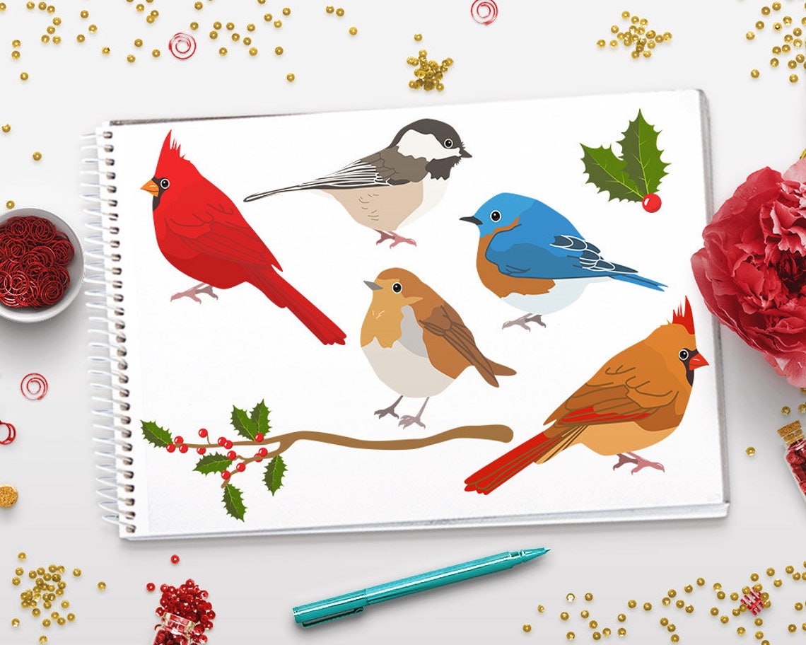 Winter Birds Clipart Christmas Clipart Winter Clipart | Etsy