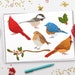 Winter Birds Clipart Christmas Clipart Winter Clipart - Etsy
