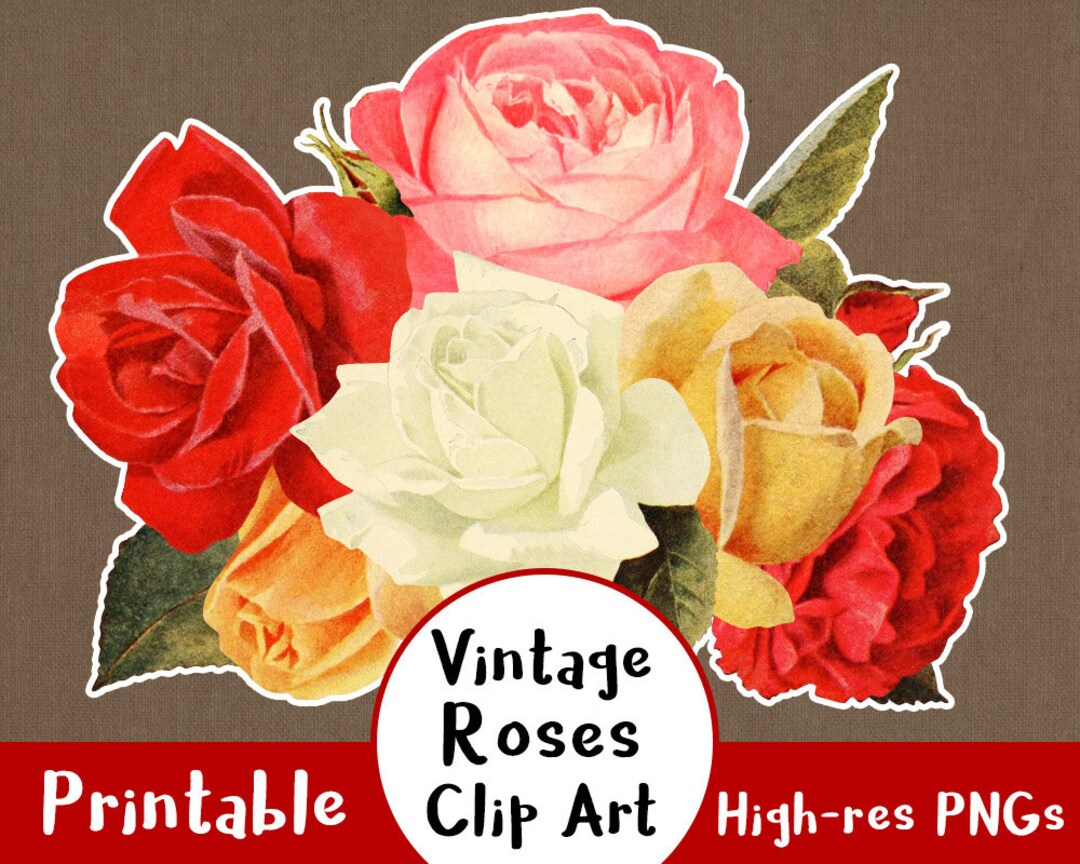 38 Vintage Rose Clipart, Floral Clipart, Flower Clipart, Wedding ...