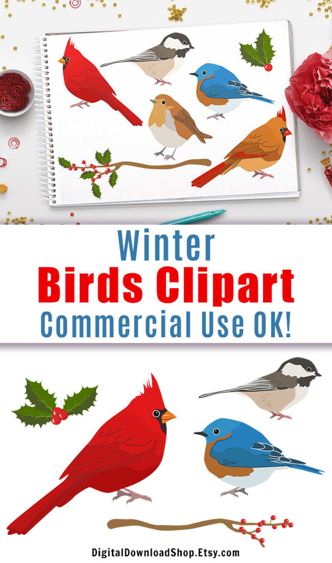 Winter Birds Clipart Christmas Clipart Winter Clipart | Etsy