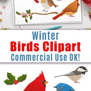 Winter Birds Clipart, Christmas Clipart, Winter Clipart, Holiday ...