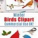Winter Birds Clipart Christmas Clipart Winter Clipart - Etsy