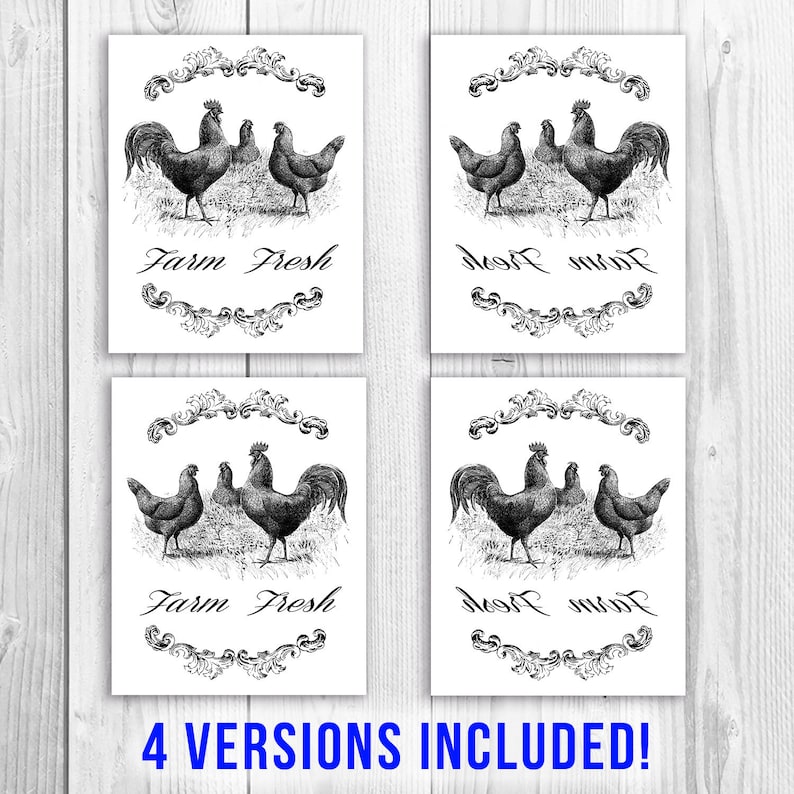Farm Fresh Three Chickens Vintage Transfer Image Chicken - Etsy