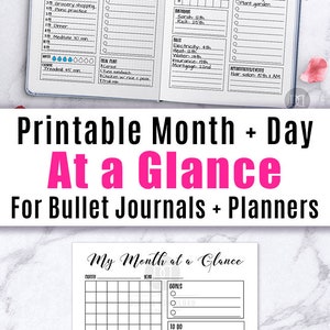 Day at a Glance Printable + Month at a Glance Bullet Journal Printable ...