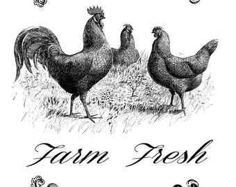 Farm Fresh Three Chickens Vintage Transfer Image, Chicken Printable ...