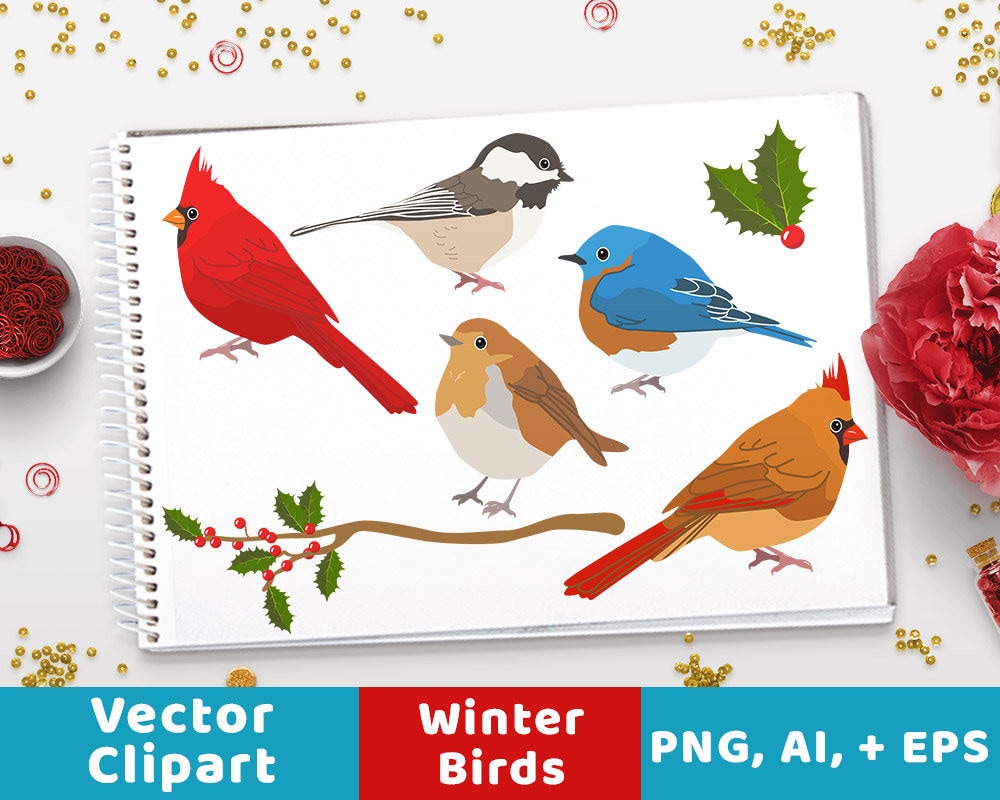 Winter Birds Clipart Christmas Clipart Winter Clipart | Etsy