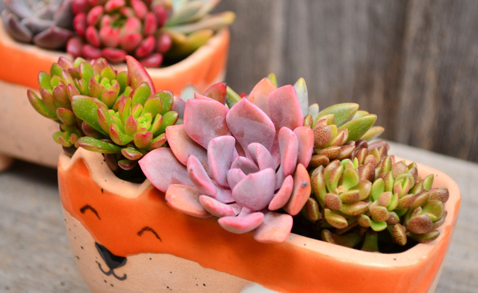 Quirky Handmade Ceramic Fox Plant Pot Planter - Etsy