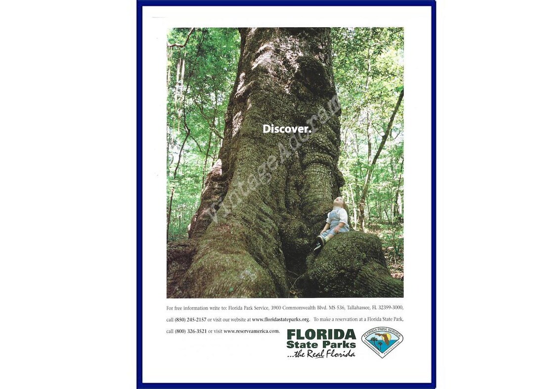 FLORIDA STATE PARKS Original 2003 Vintage Color Print Advertisement ...
