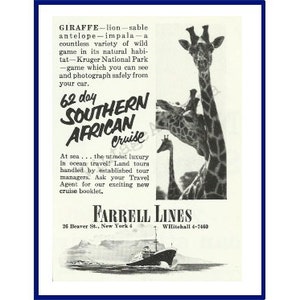 FARRELL LINES Original 1956 Vintage Black & White Print Advertisement ...
