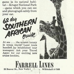 FARRELL LINES Original 1956 Vintage Black & White Print Advertisement ...