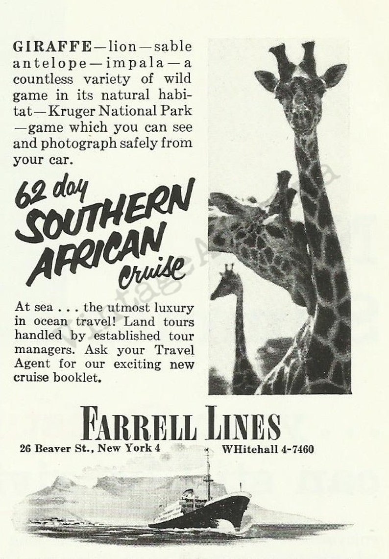 FARRELL LINES Original 1956 Vintage Black & White Print - Etsy