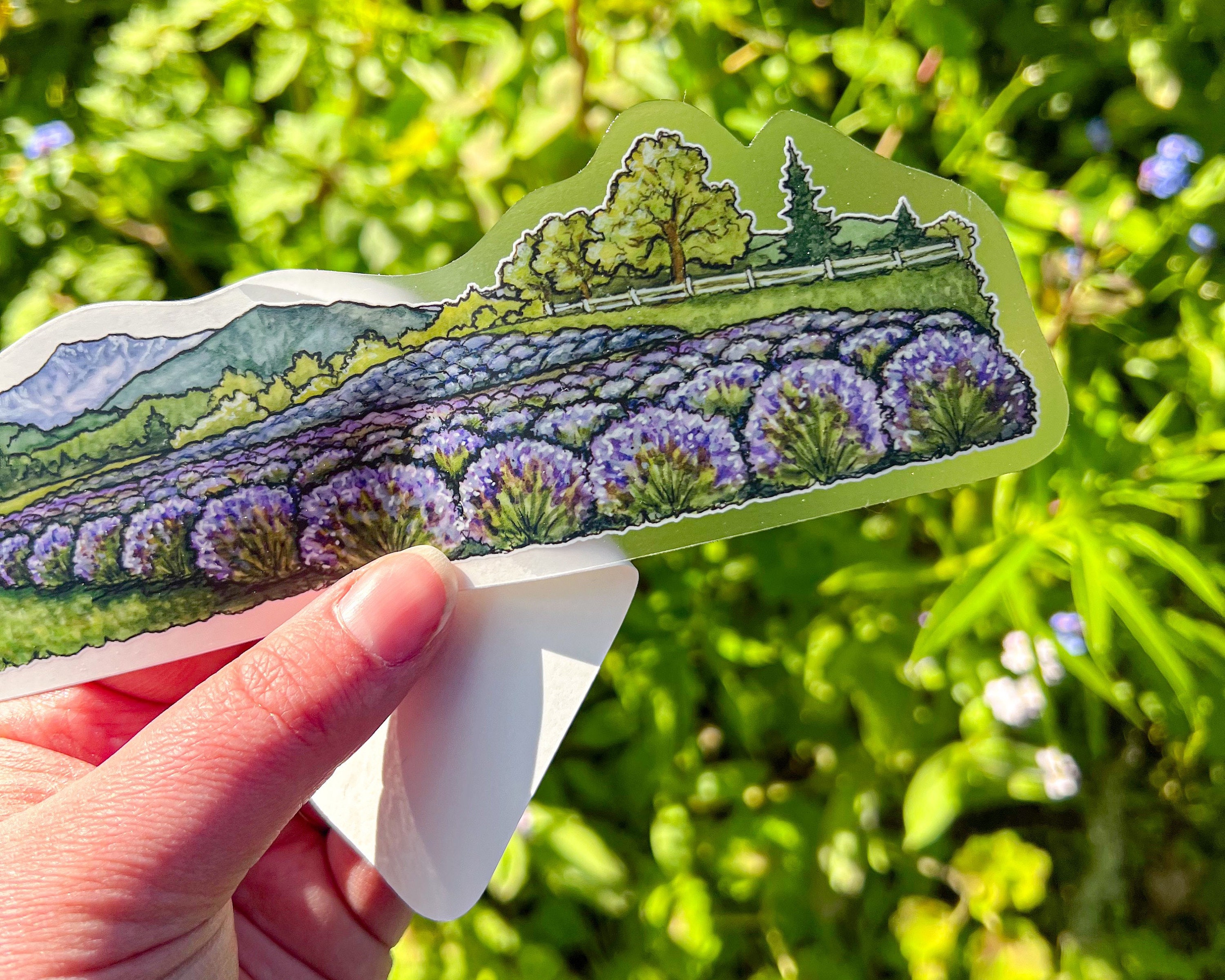 Lavender Fields Landscape Wrap Sticker 2x11 Clear - Etsy