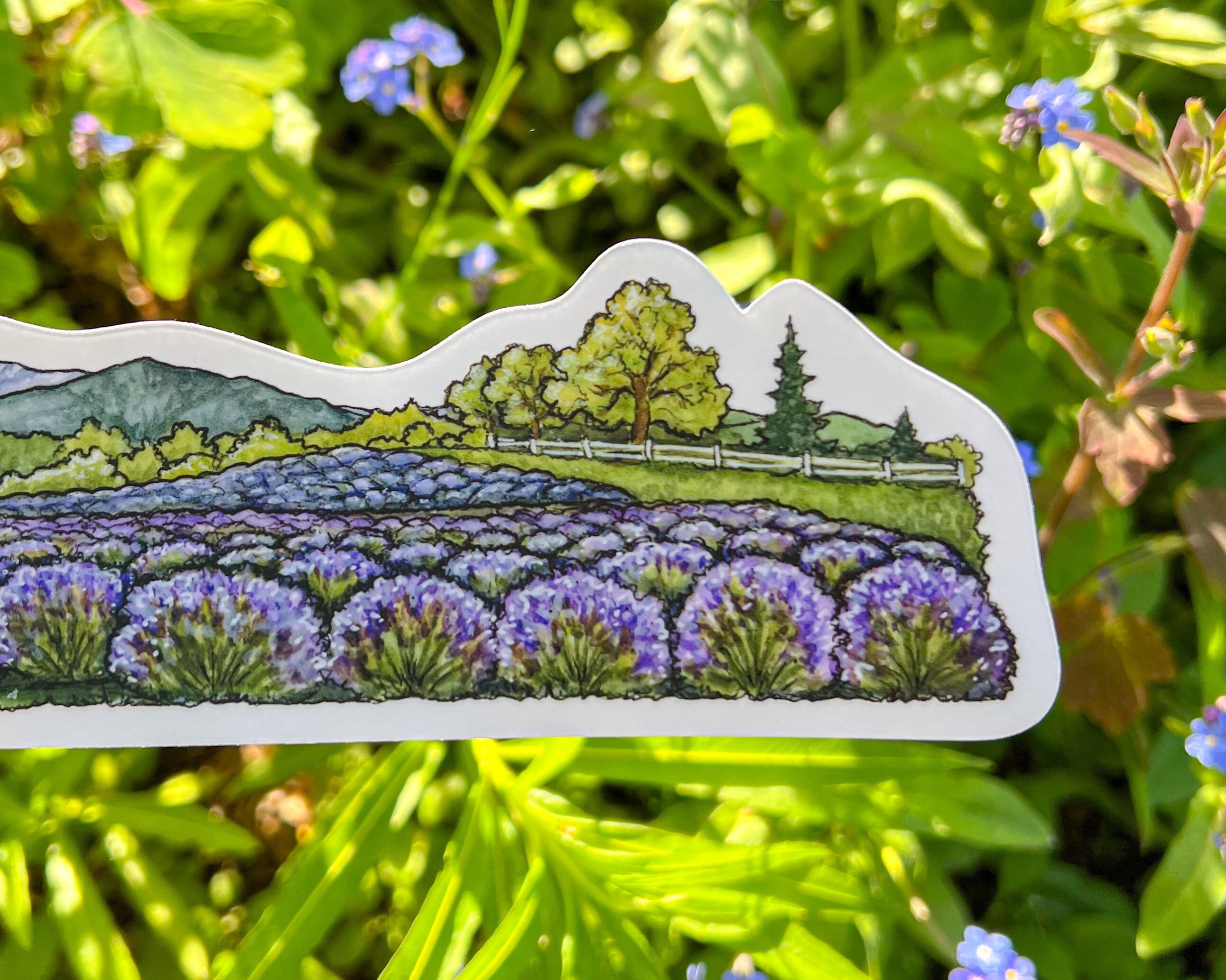 Lavender Fields Landscape Wrap Sticker 2x11 Clear - Etsy