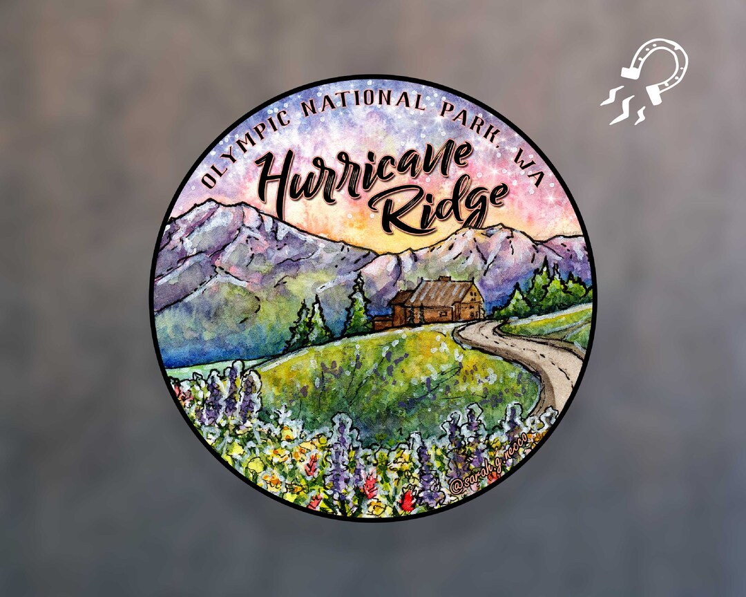 SALE Hurricane Ridge, Olympic National Park, 3 X 3 Circle Magnet for ...