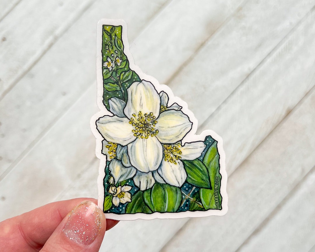 Idaho State Flower White Syringa Blooms, 3" Clear Vinyl Die-cut Sticker ...