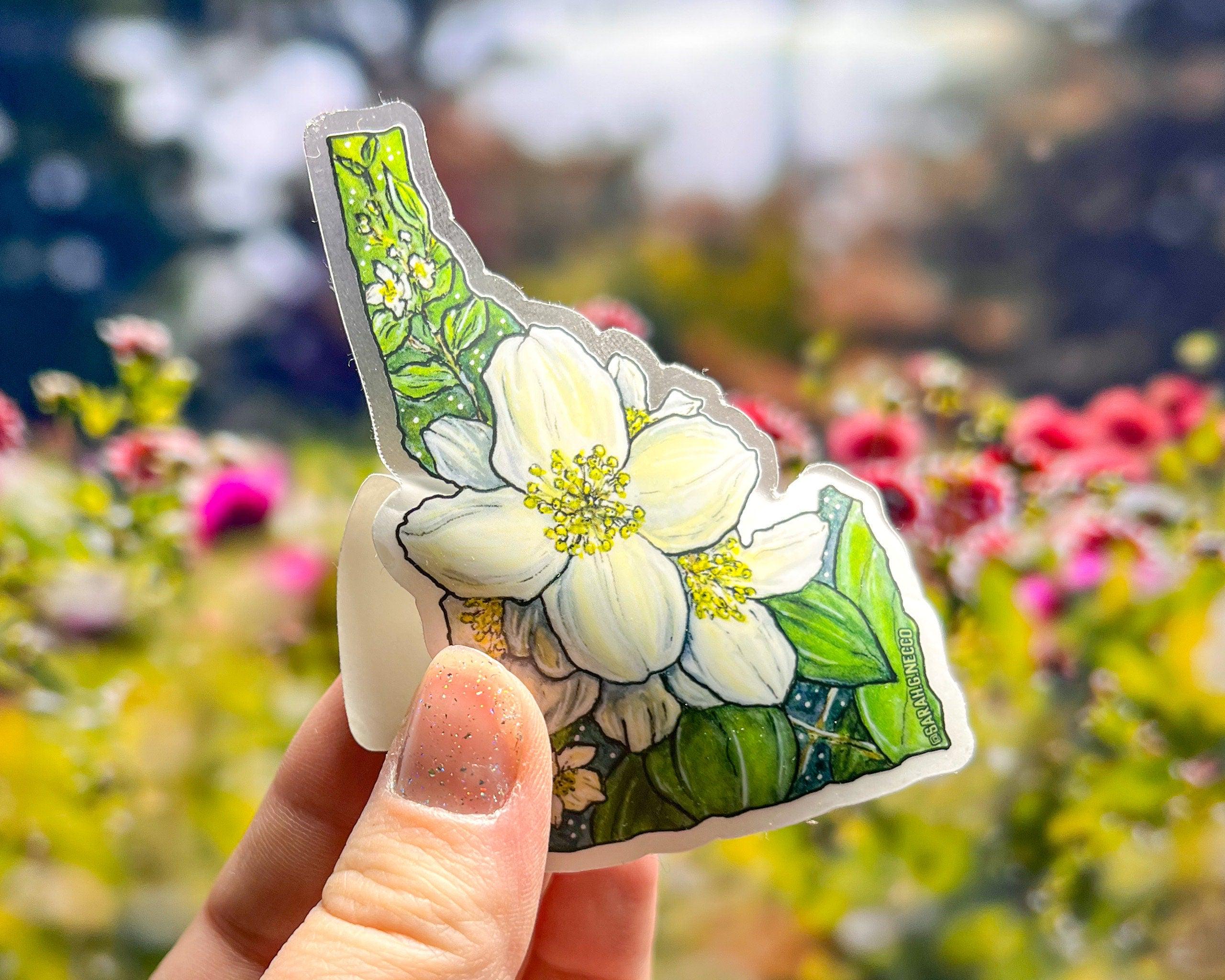 Idaho State Flower White Syringa Blooms, 3" Clear Vinyl Die-cut Sticker ...