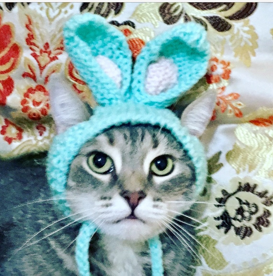 Bunny cat hat Mint bunny hat Rabbit ears cat hat Easter cat | Etsy