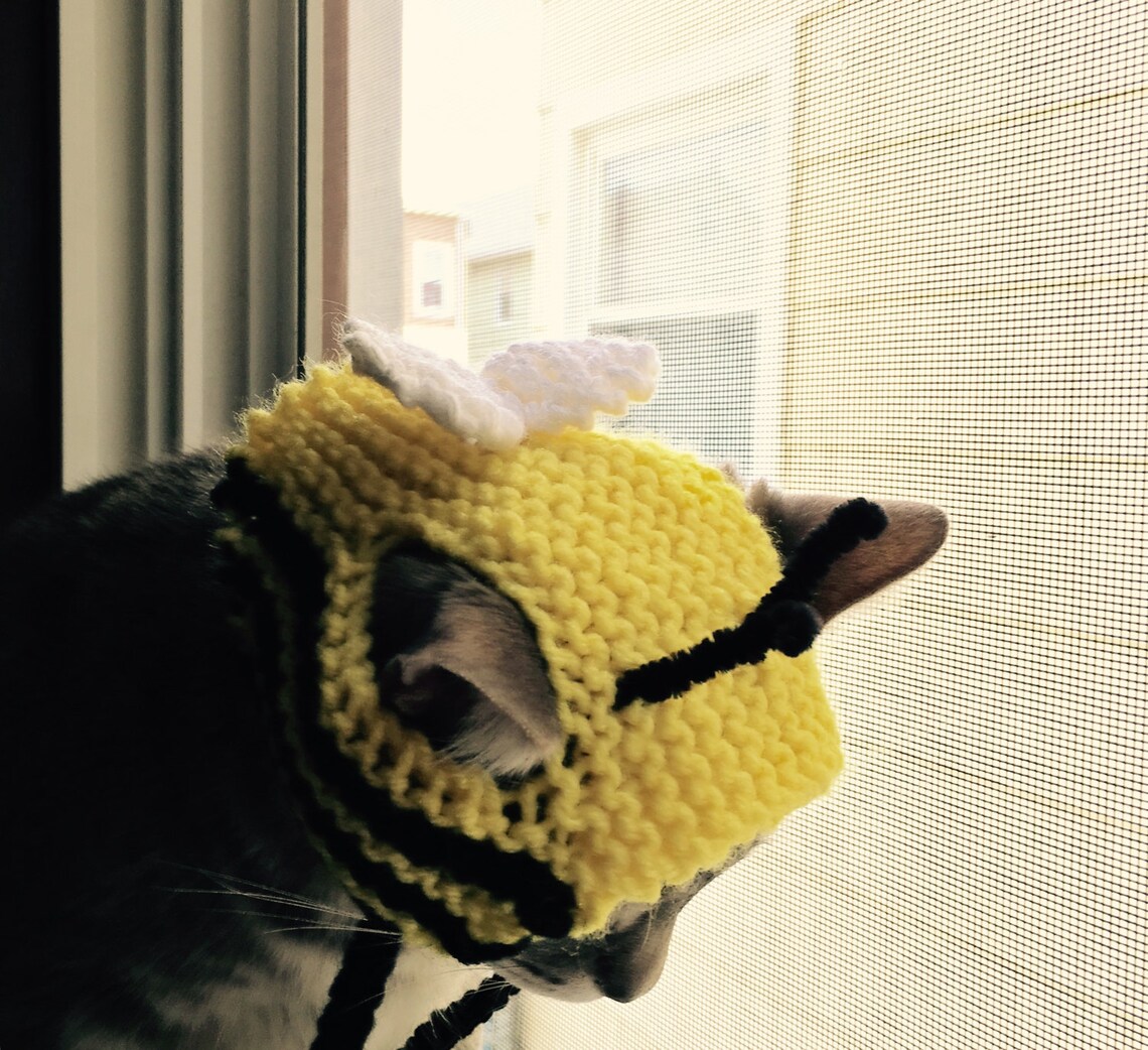 Bee cat hat Bee Bee hat cat hat hat for cats and small | Etsy