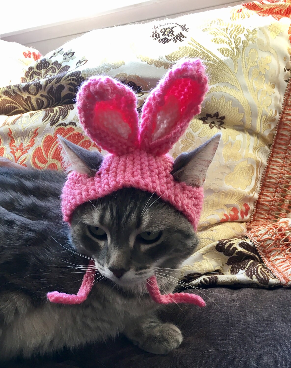 Pink Bunny Cat Hat Bunny Hat Hat for Cats and Small Dogs | Etsy