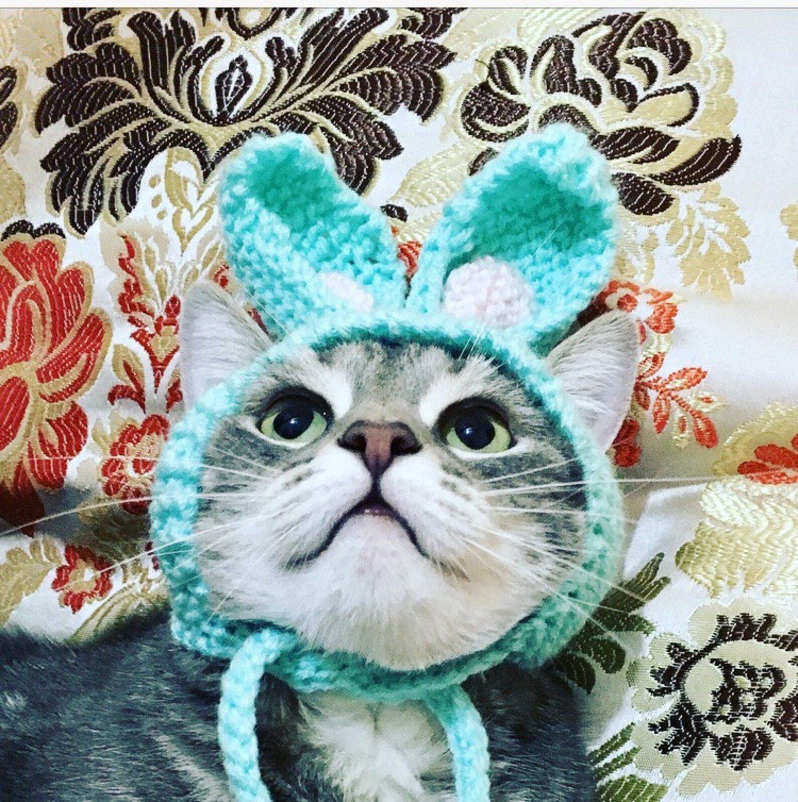 Bunny Cat Hat Mint Bunny Hat Rabbit Ears Cat Hat Easter Cat - Etsy ...