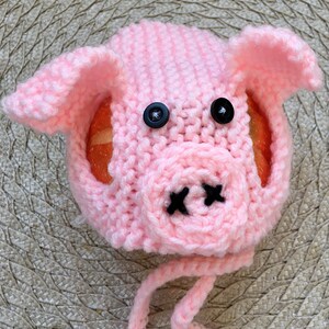 Pig Cat Hat Piggy Cat Hat Piggy Hat Hat for Cats and Small | Etsy