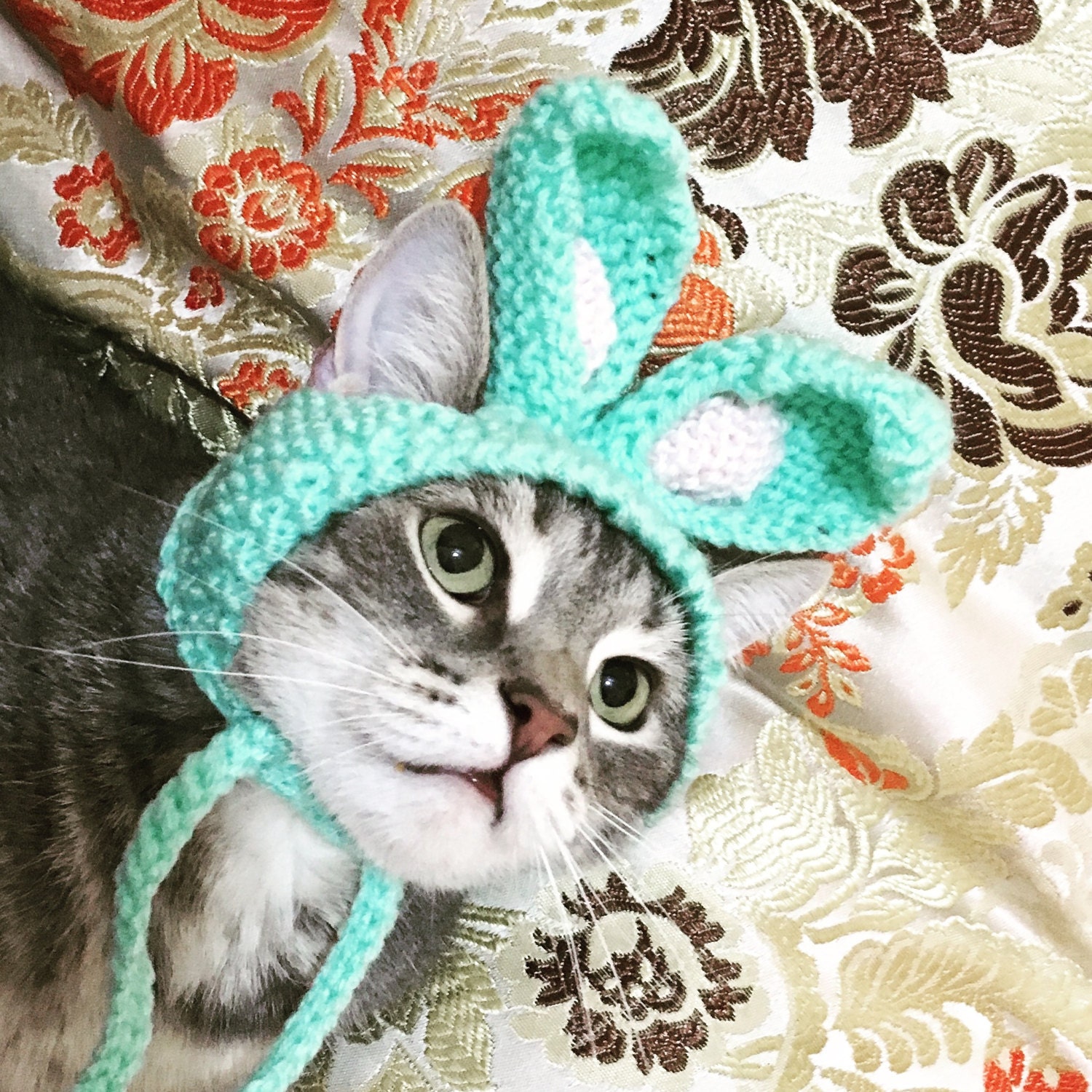 Bunny cat hat Mint bunny hat Rabbit ears cat hat Easter cat | Etsy