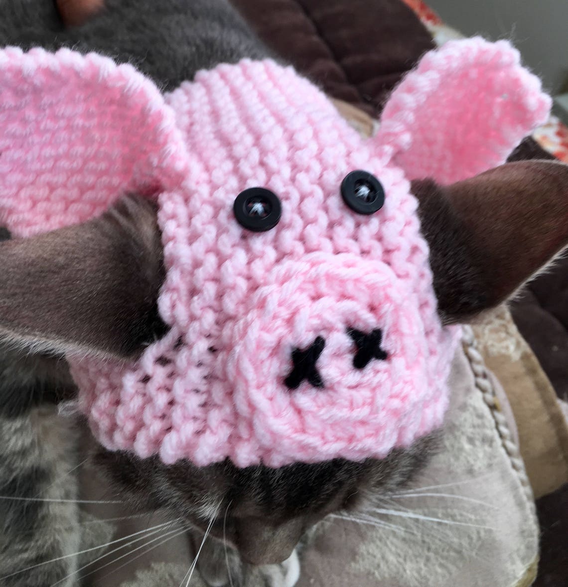 Pig Cat Hat Piggy Cat Hat Piggy Hat Hat for Cats and Small | Etsy