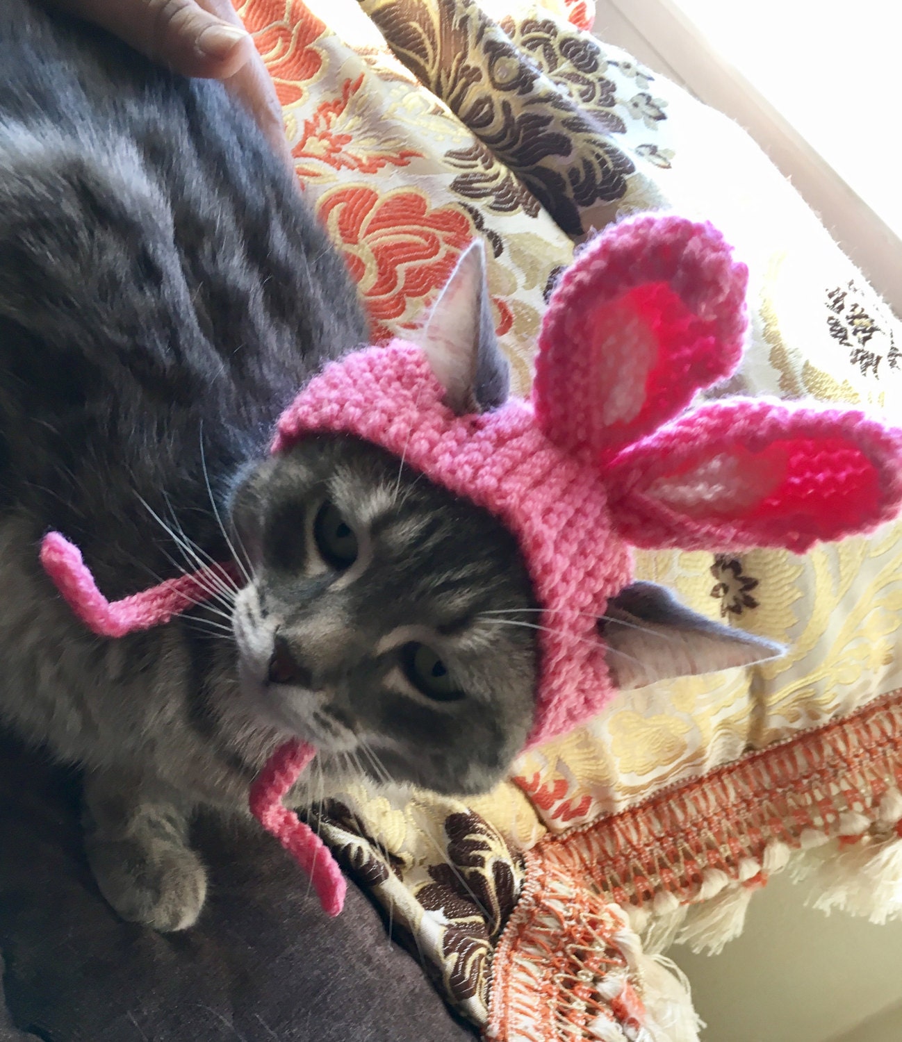 Pink Bunny Cat Hat Bunny Hat Hat for Cats and Small Dogs | Etsy