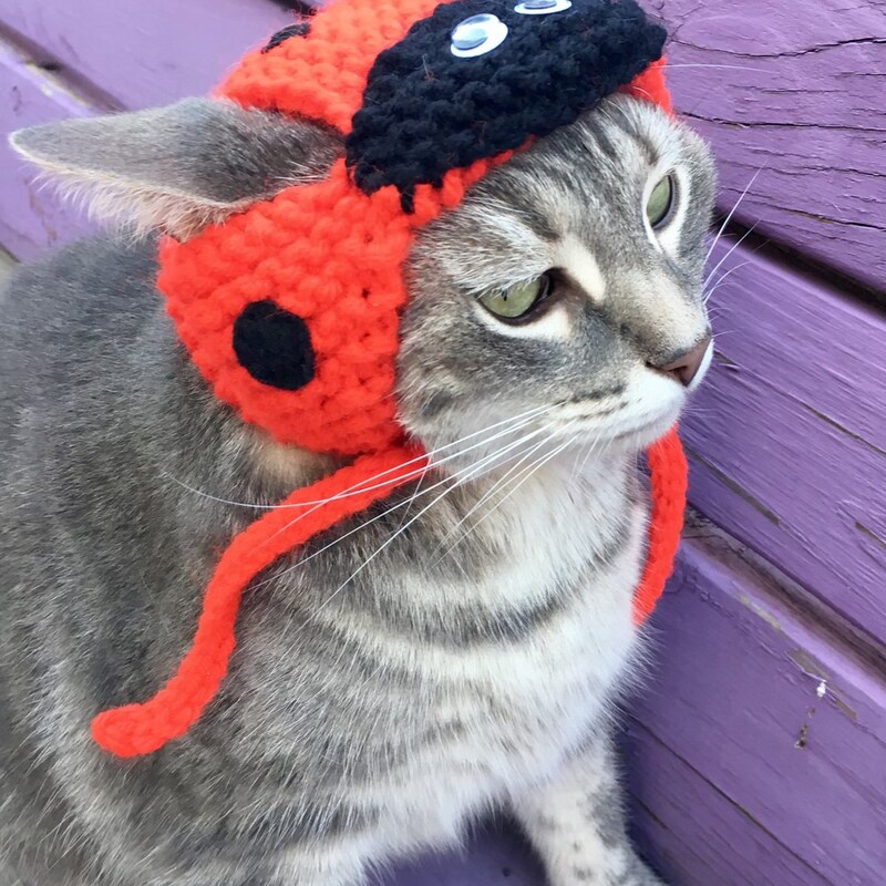 Ladybug Hat - Etsy