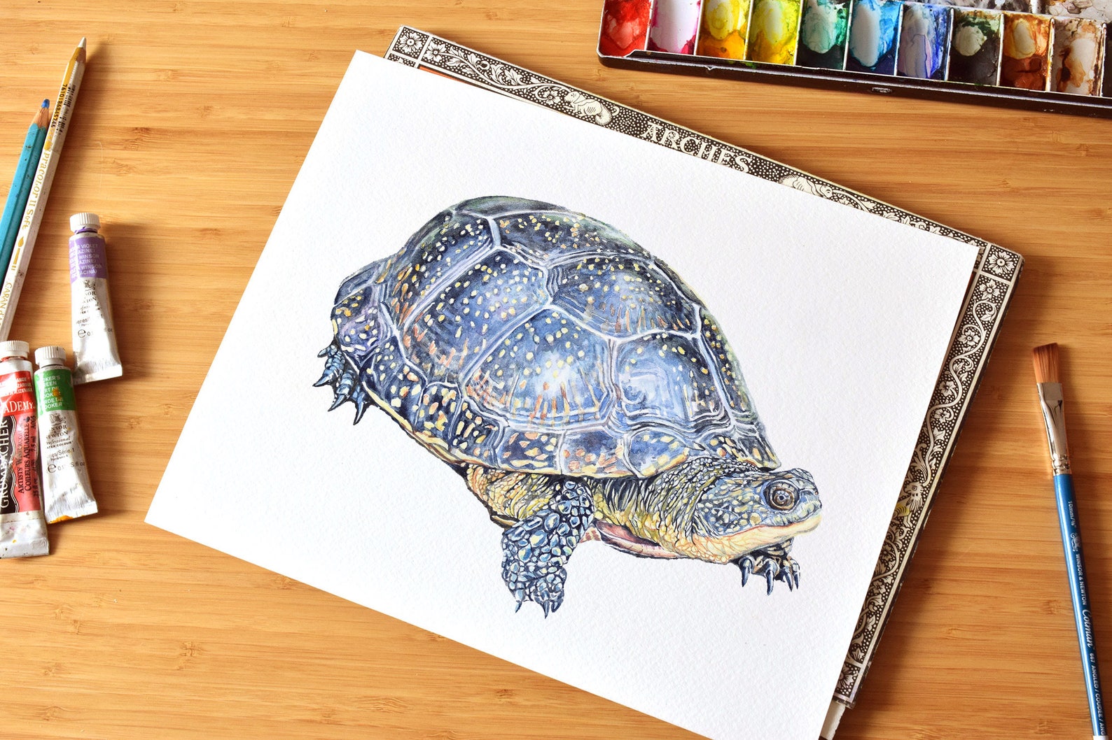 Realistic Turtle Painting, Blanding's Turtle Fine Art Watercolor Print ...