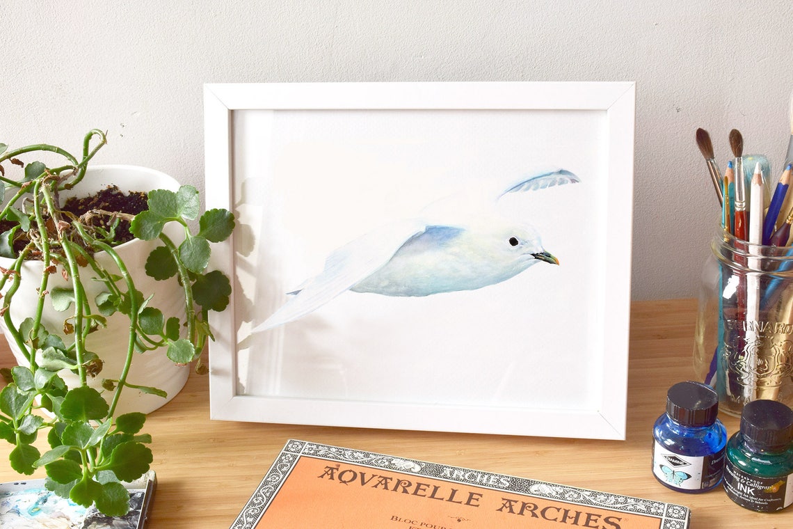 Ivory Gull, Bird Watercolor Print, Seabird Flying, Bright Light Minimal ...