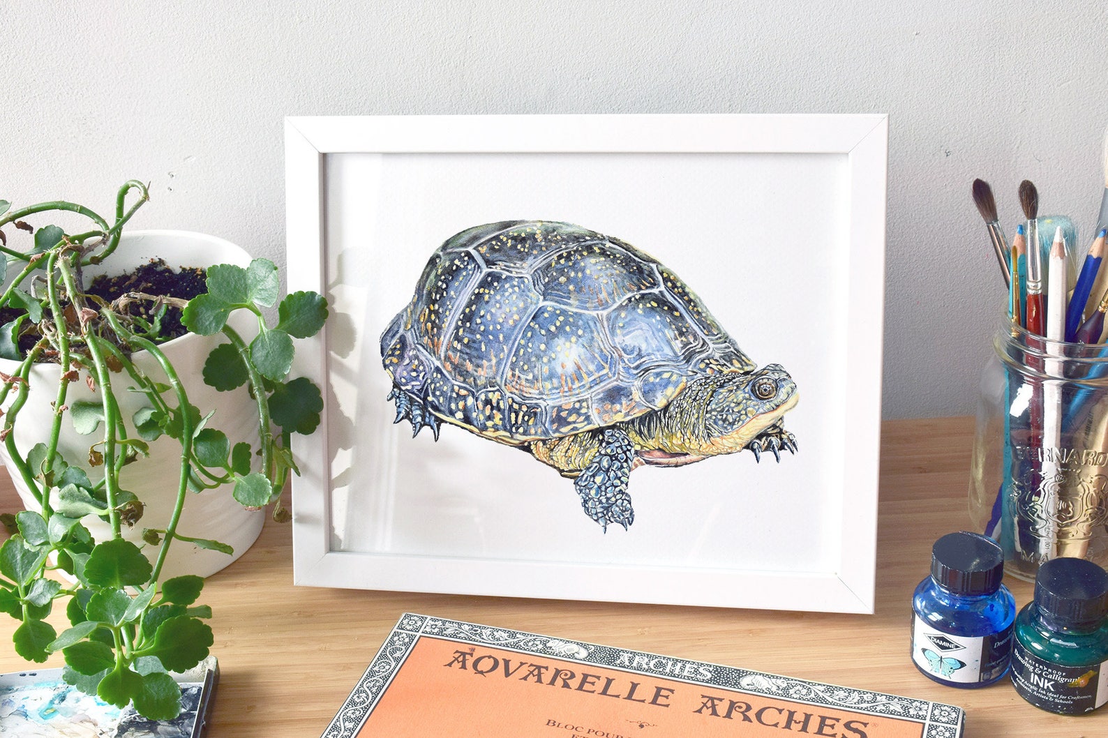 Realistic Turtle Painting, Blanding's Turtle Fine Art Watercolor Print ...