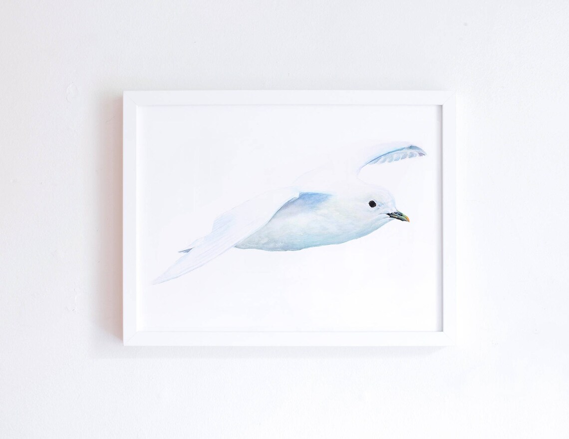Ivory Gull, Bird Watercolor Print, Seabird Flying, Bright Light Minimal ...
