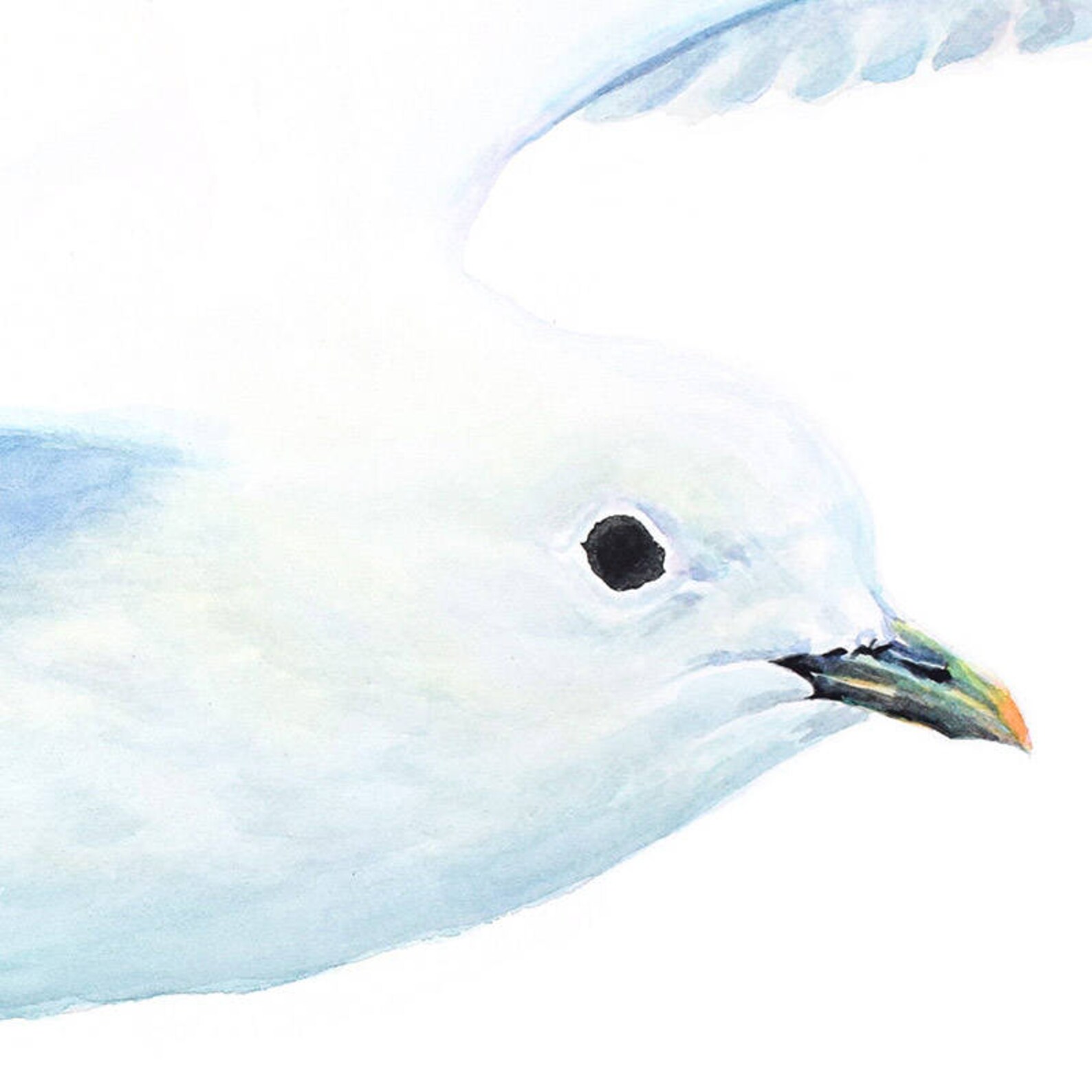 Ivory Gull, Bird Watercolor Print, Seabird Flying, Bright Light Minimal ...