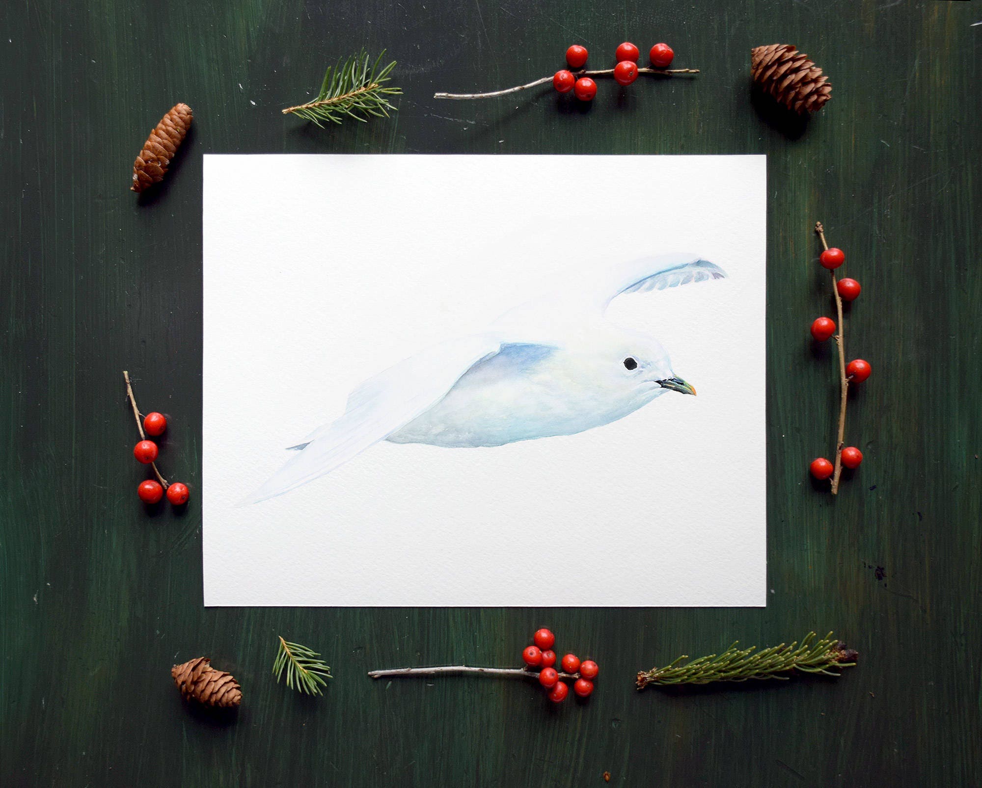 Ivory Gull, Bird Watercolor Print, Seabird Flying, Bright Light Minimal ...