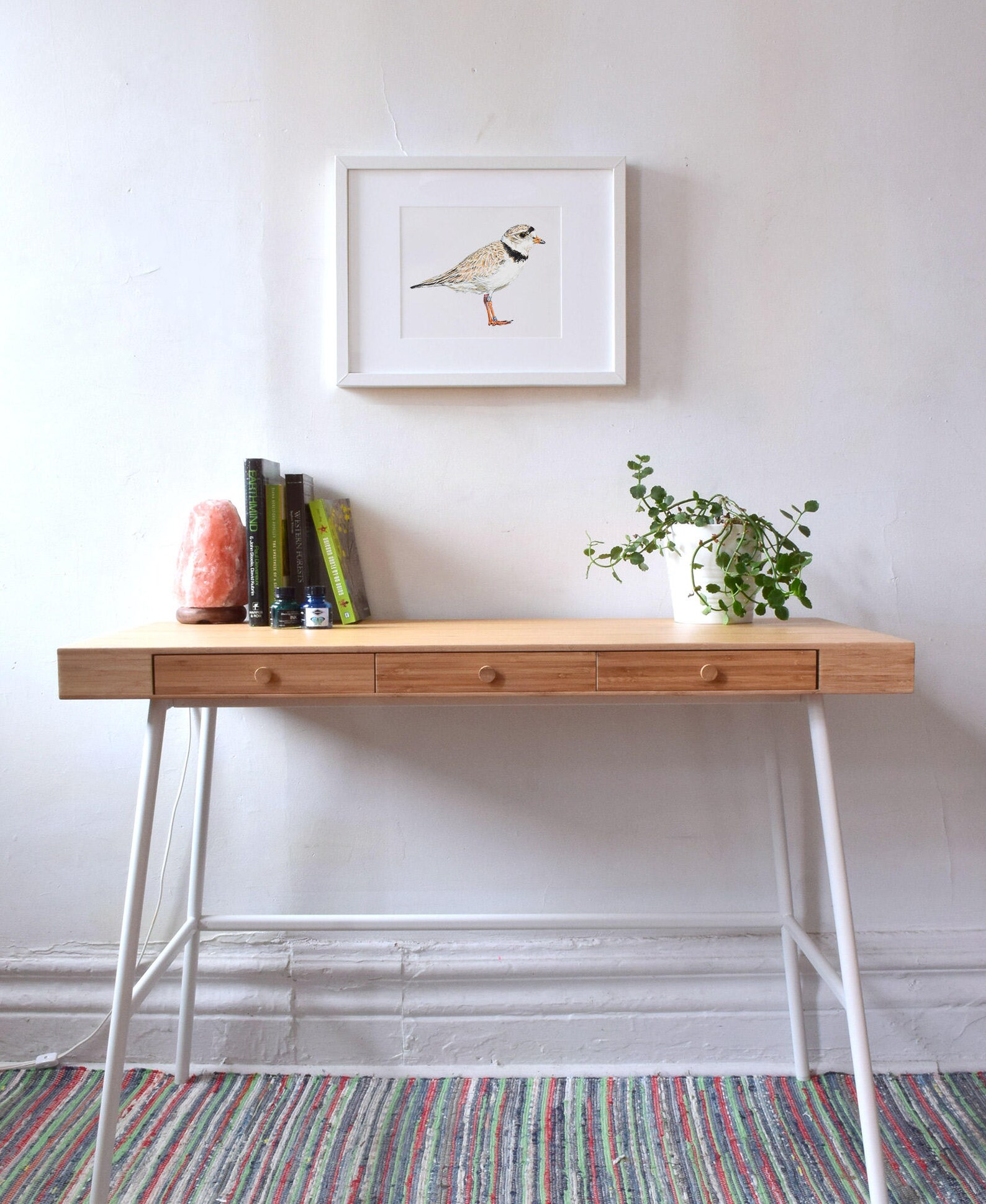 Piping Plover, Watercolor Fine Art Print, Canadian Shorebird ...