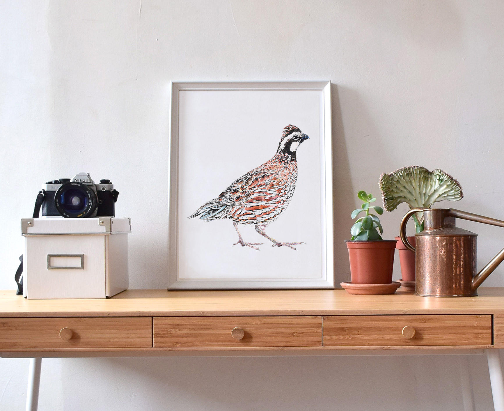 Northern Bobwhite Quail, Fine Art Watercolor Print, Museum Quality ...