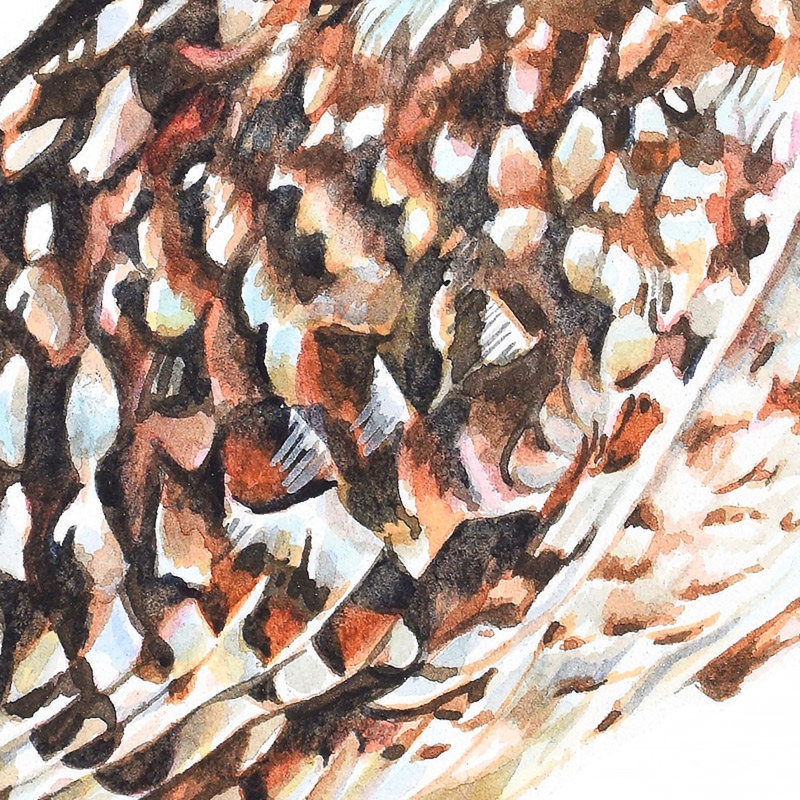 Owl Print Watercolor, Fine Art Painting, Burrowing Owl, Bird-watchers ...